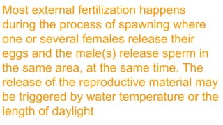 Type of fertilization | PPTX