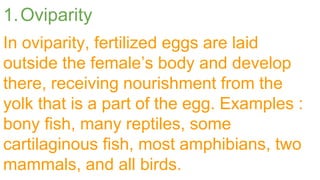 Type of fertilization | PPTX