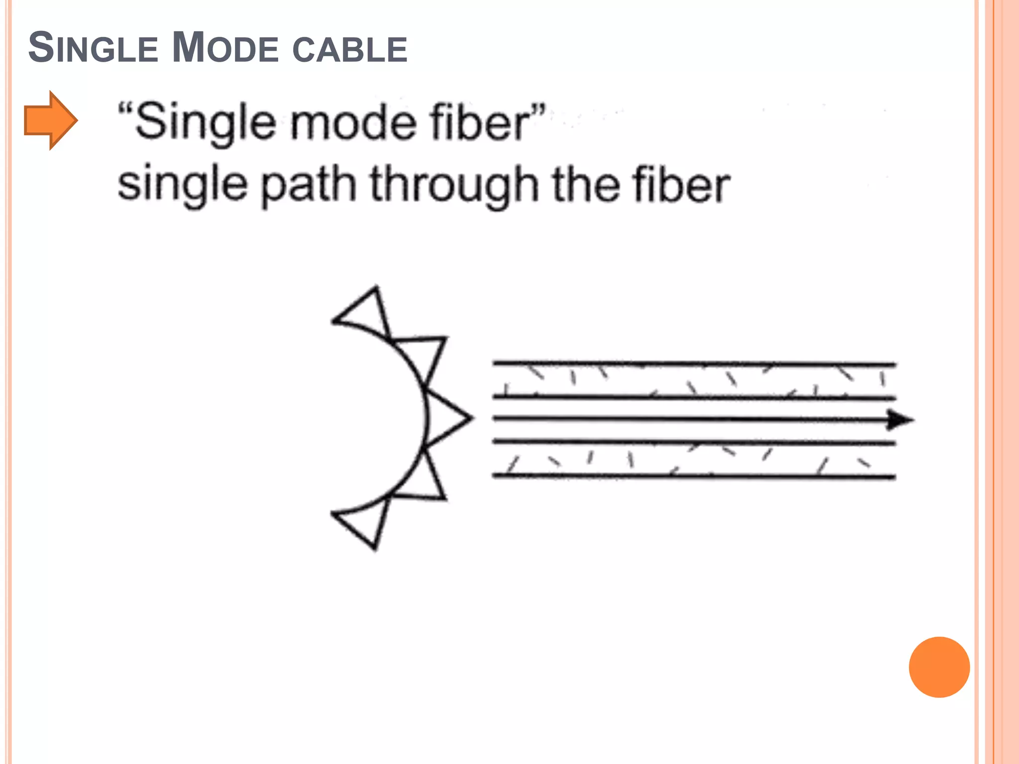 Type of fiber | PPTX