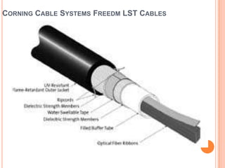 Type of fiber | PPTX