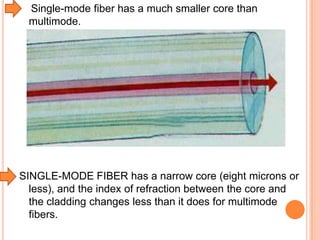 Type of fiber | PPTX