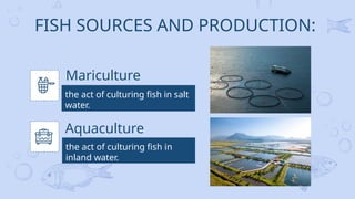 Type of Fish, classification (BIT 1-31 B).pptx