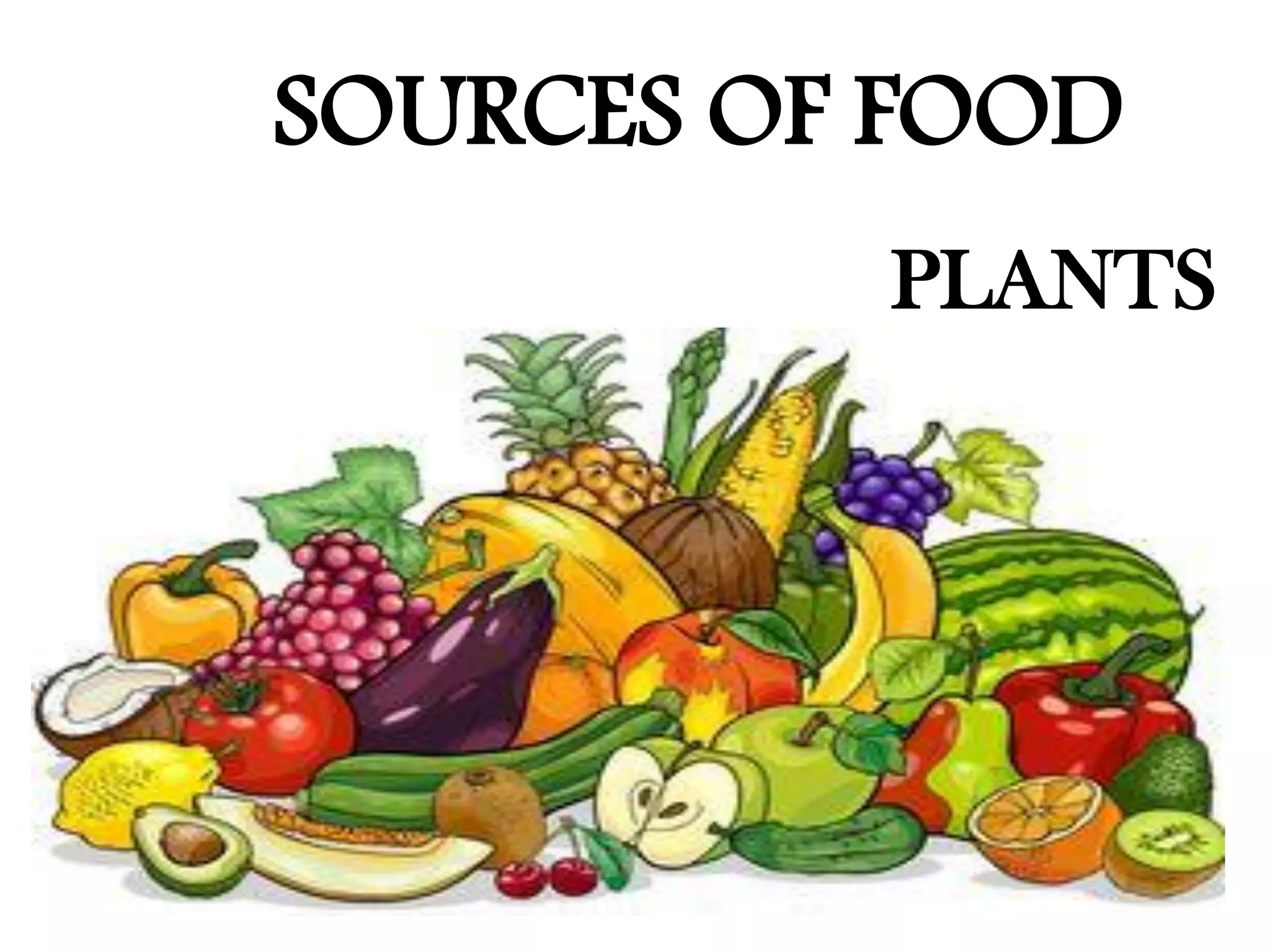 Type of food | PDF