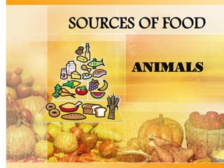 Type of food | PDF