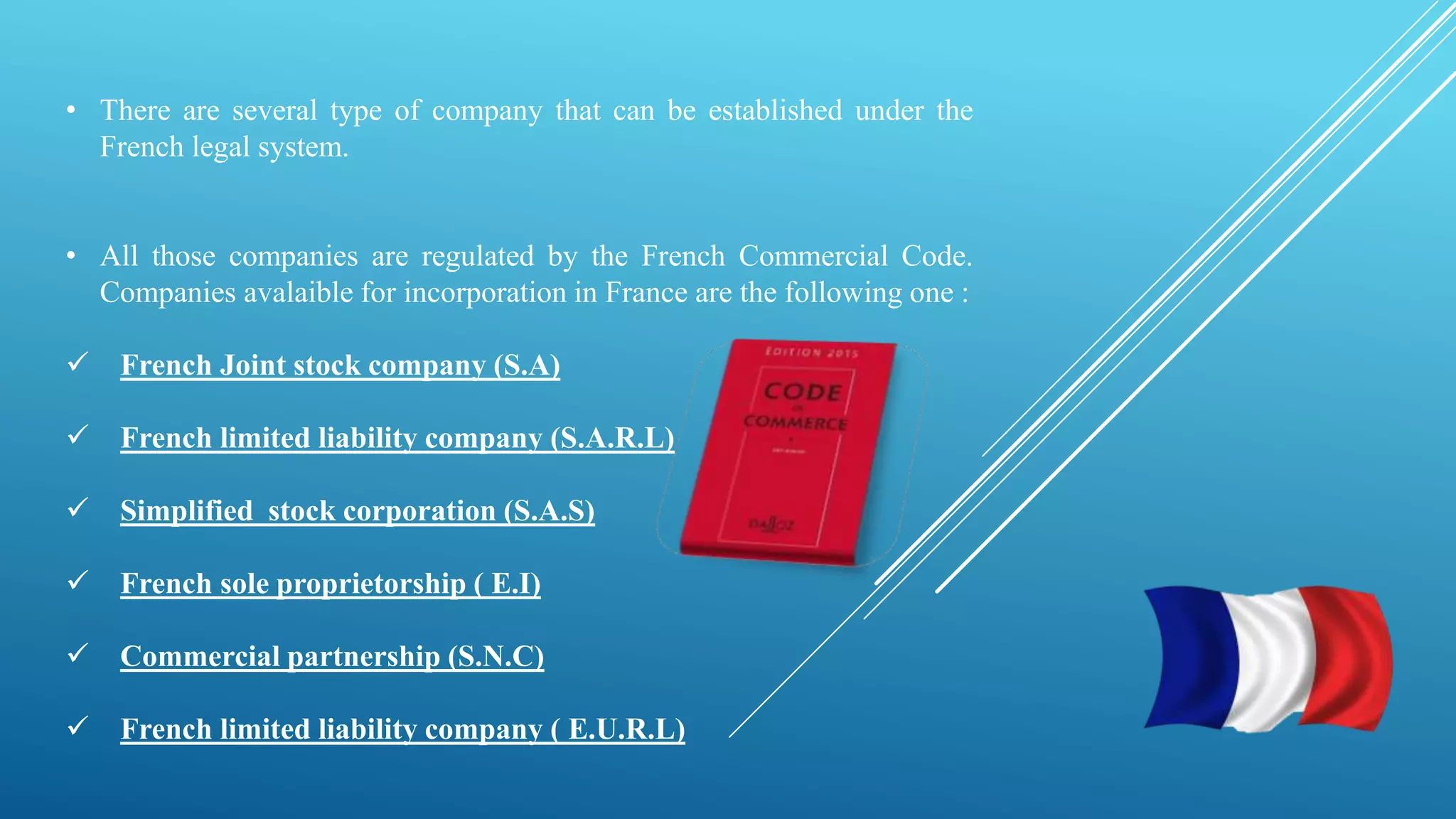 Type of companies in France | PPTX