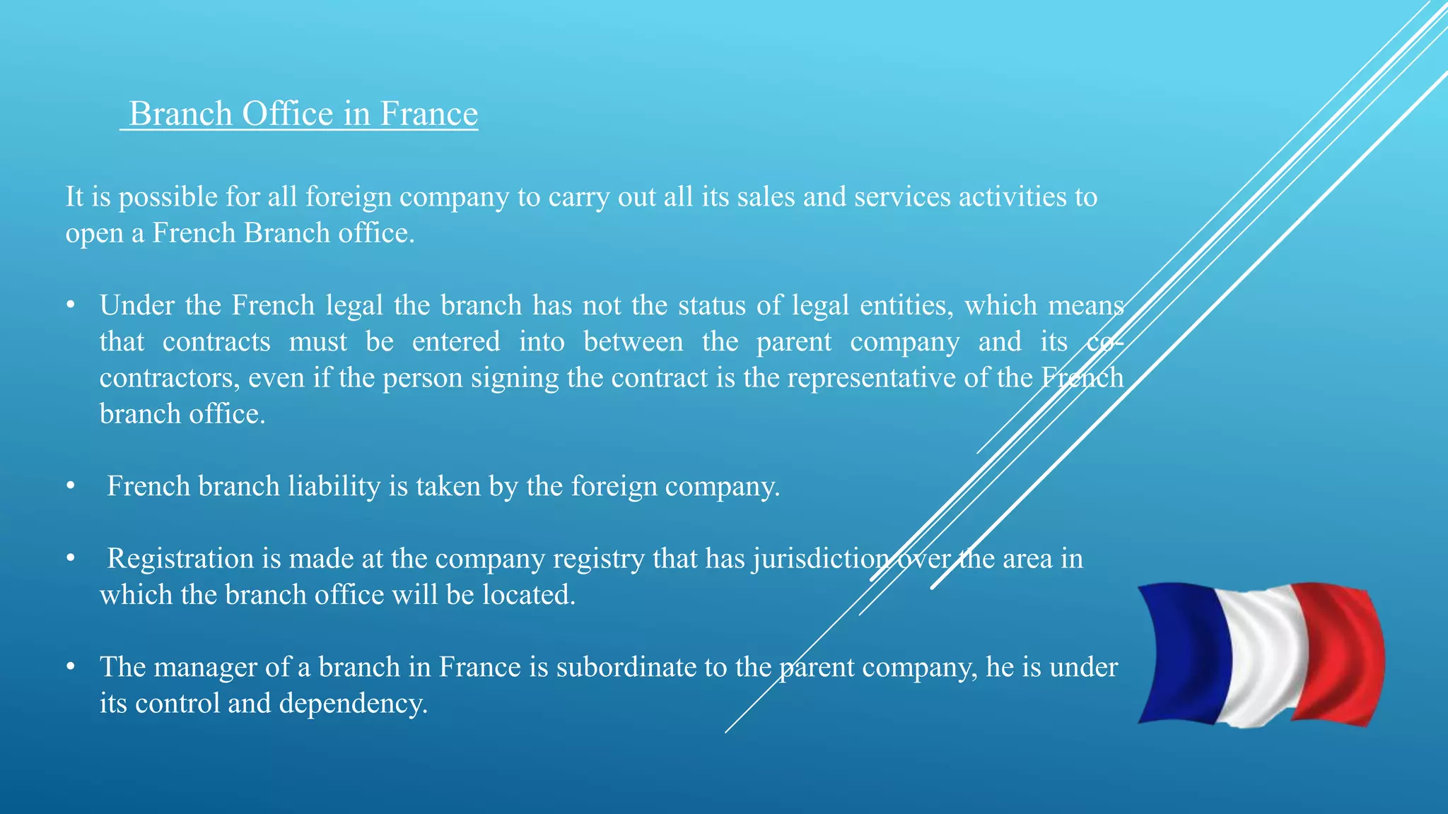 Type of companies in France | PPTX
