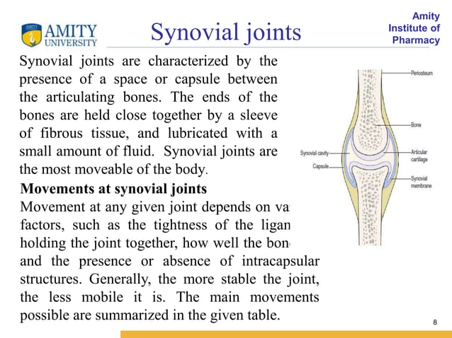 Type of Joints - Structural and functional classification - types of ...