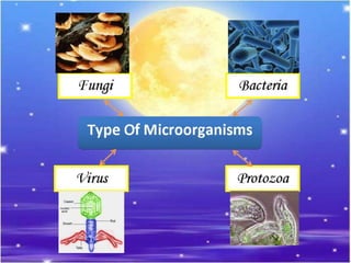 Type Of Microorganisms | PPT