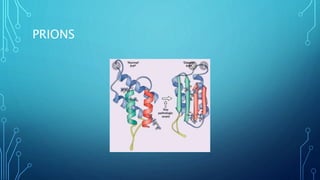 type of microbes & growth (kabashor).pptx