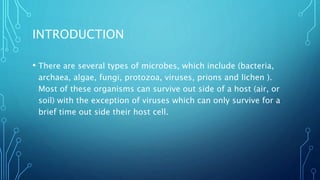 type of microbes & growth (kabashor).pptx