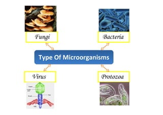 Pictures Of Different Types Of Microorganisms