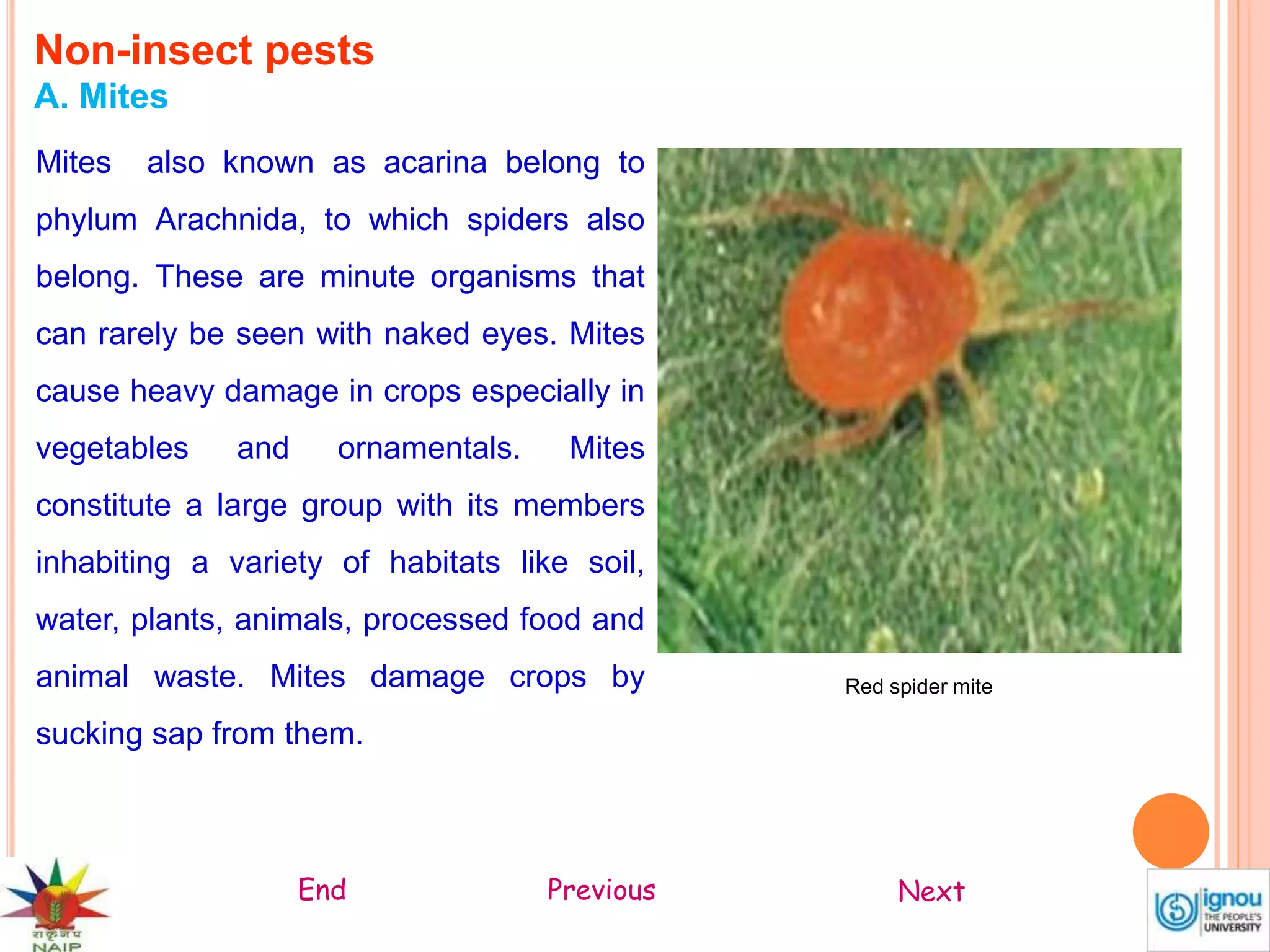 Type of pests | PPSX