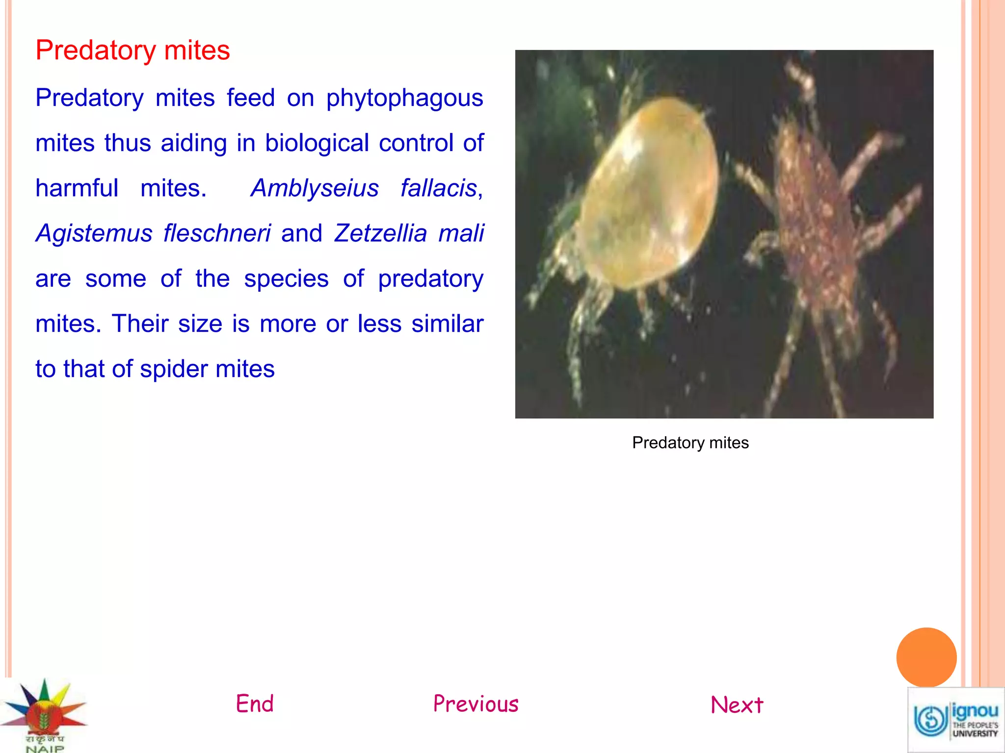 Type of pests | PPSX