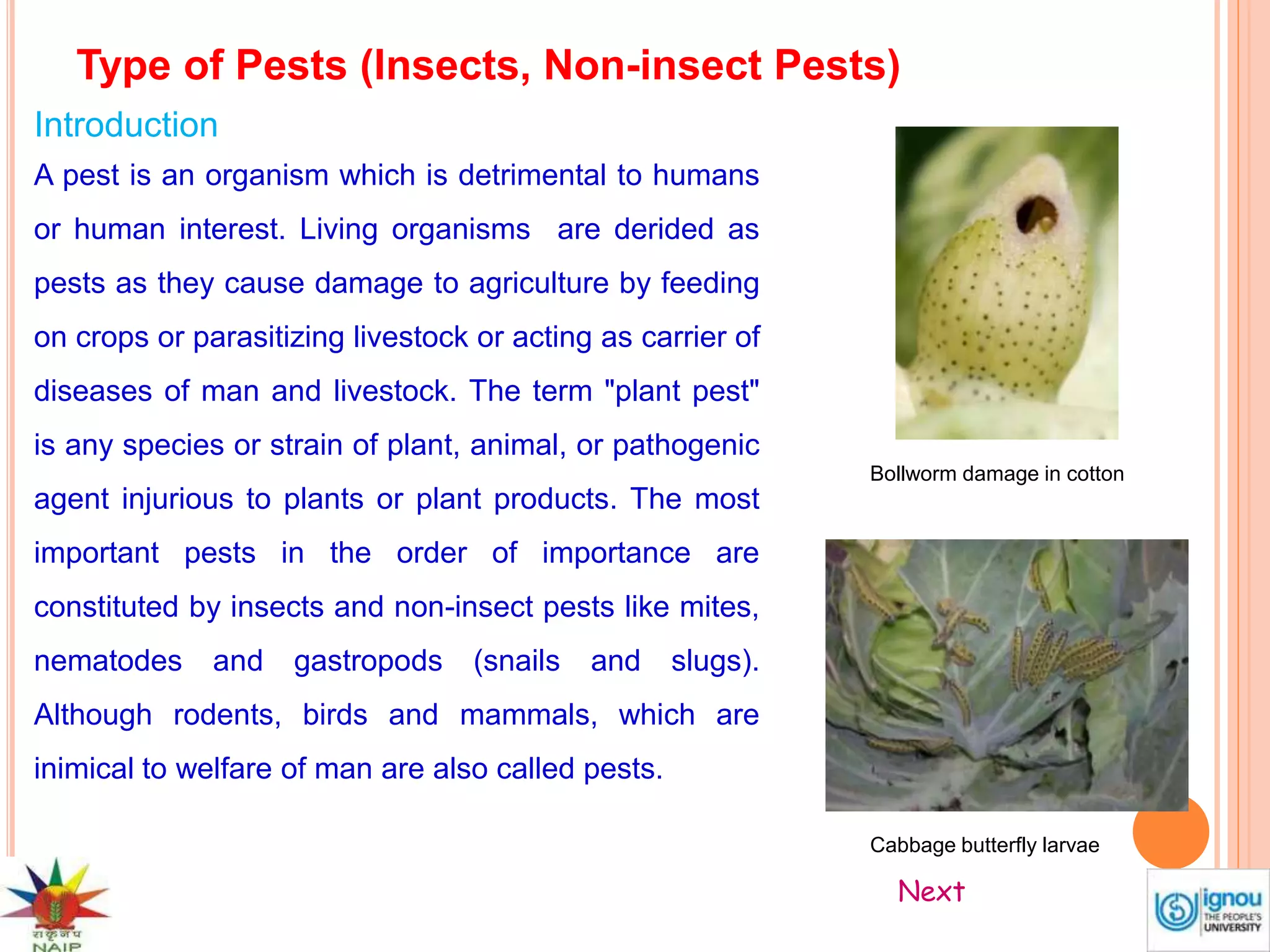 Type of pests | PPSX