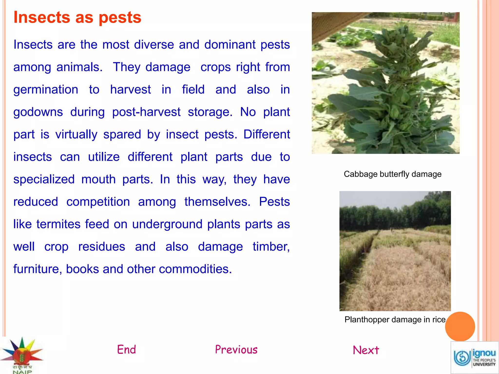 Type of pests | PPSX