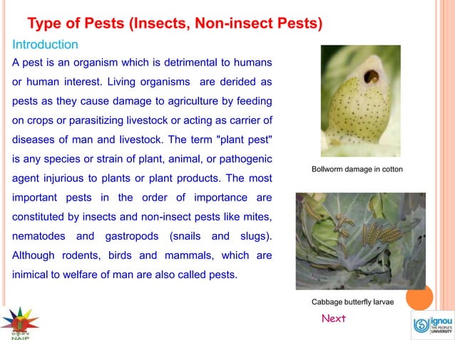 Type of pests | PPSX | Beekeeping | Hobbies & Interests