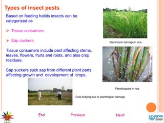 Type of pests | PPSX
