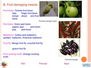 Type of pests | PPSX