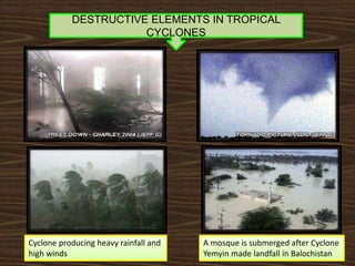 Typeofrainfall 131124230331-phpapp02 | PPTX