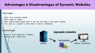 Different Types Of Websites - With Basic Information | PPTX
