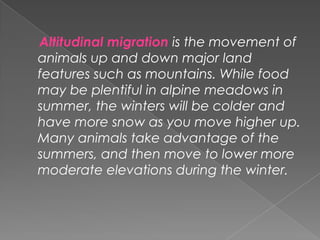 Types | PPTX | Birdwatching | Hobbies & Interests