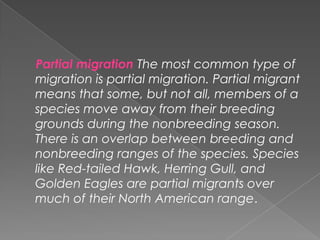 Types | PPTX | Birdwatching | Hobbies & Interests