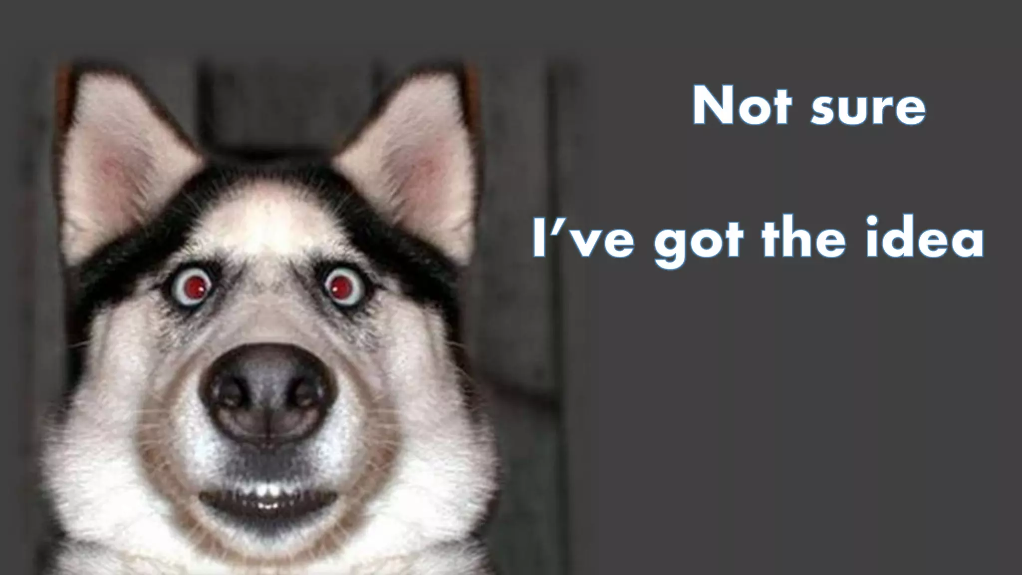 Types: Weak/Duck/Optional vs Strong/Strict. Let the War Begin! | PPTX