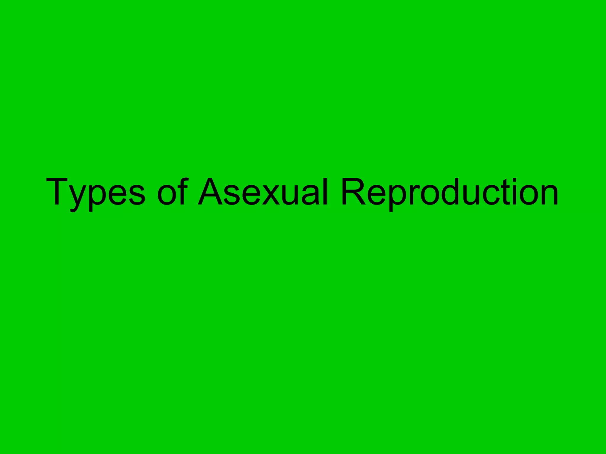 Types of-asexual-reproduction | PPT