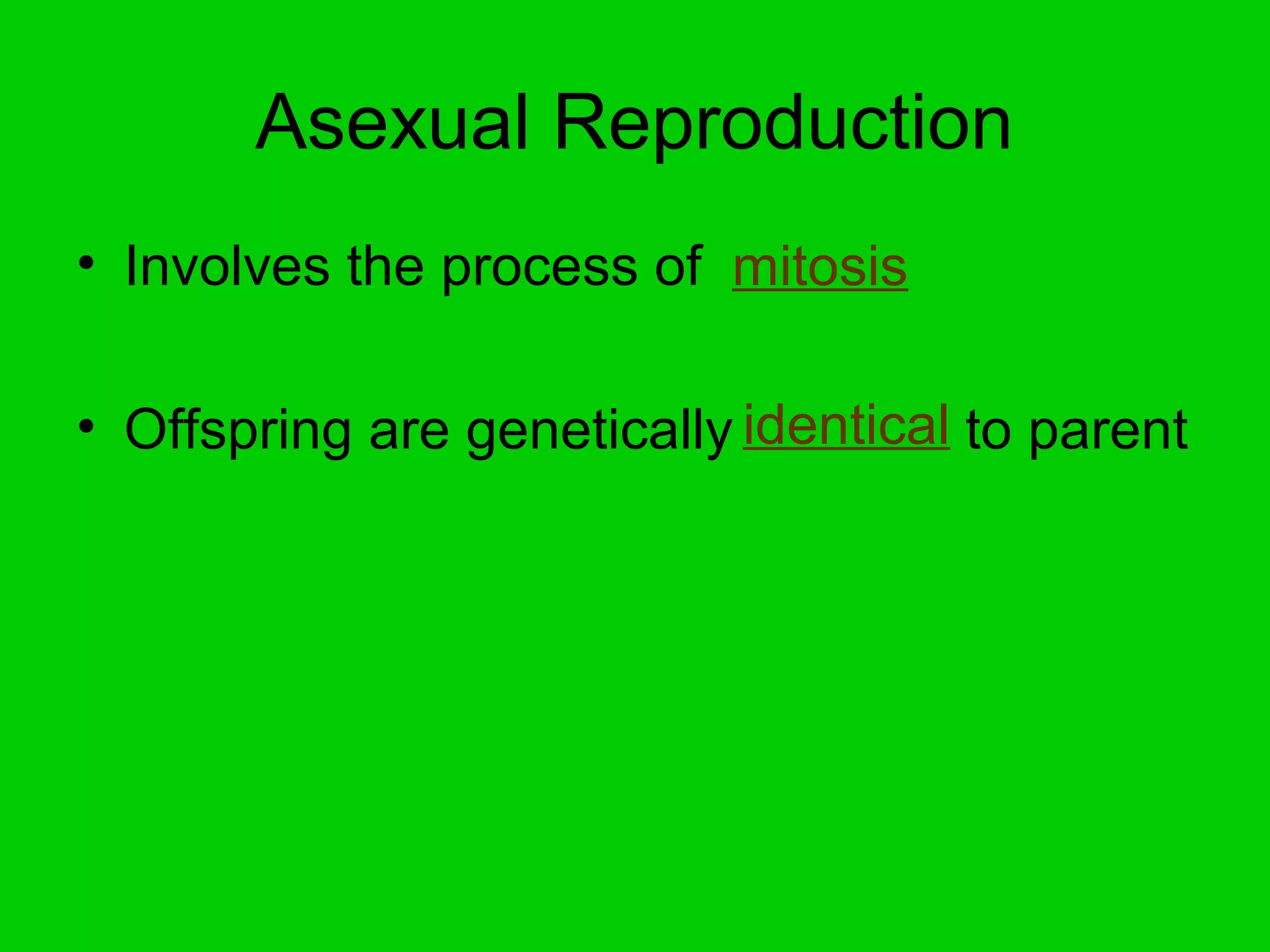 Types of-asexual-reproduction | PPT