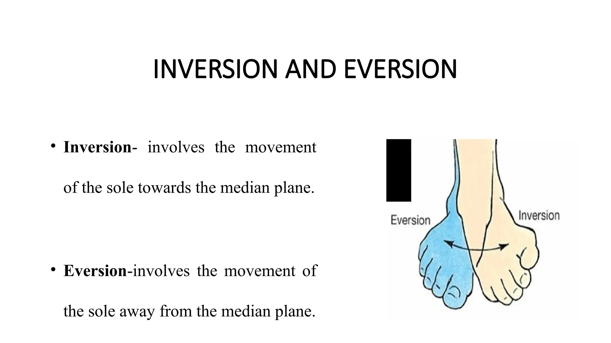TYPES-OF-BODY-MOVEMENT for pathfit .pptx