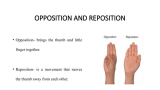 TYPES-OF-BODY-MOVEMENT for pathfit .pptx