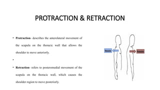 TYPES-OF-BODY-MOVEMENT for pathfit .pptx