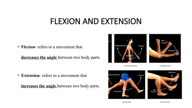 TYPES-OF-BODY-MOVEMENT for pathfit .pptx