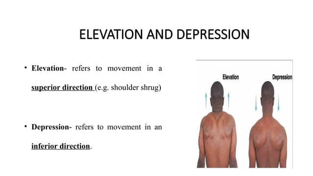 TYPES-OF-BODY-MOVEMENT for pathfit .pptx