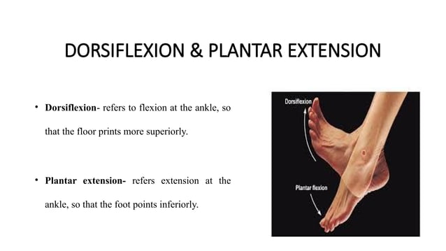 TYPES-OF-BODY-MOVEMENT for pathfit .pptx
