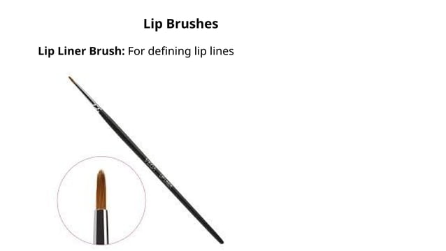 Types-Of-Brushes.pptx presentation by prathiksha | PPT