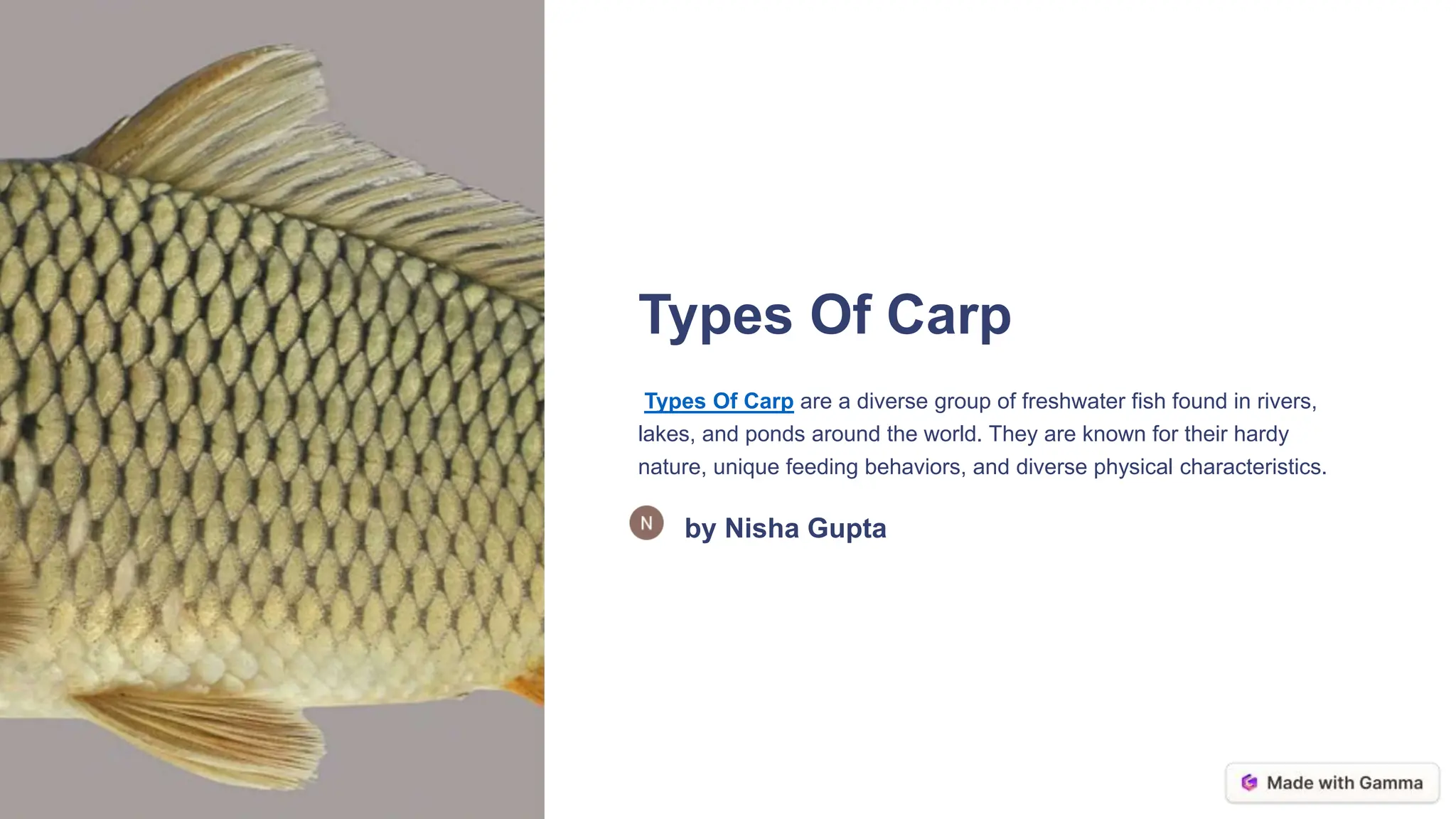 Types Of Carp 11111111111111111111111111 | PPT
