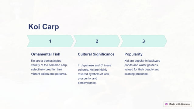 Types Of Carp 11111111111111111111111111 | PPT