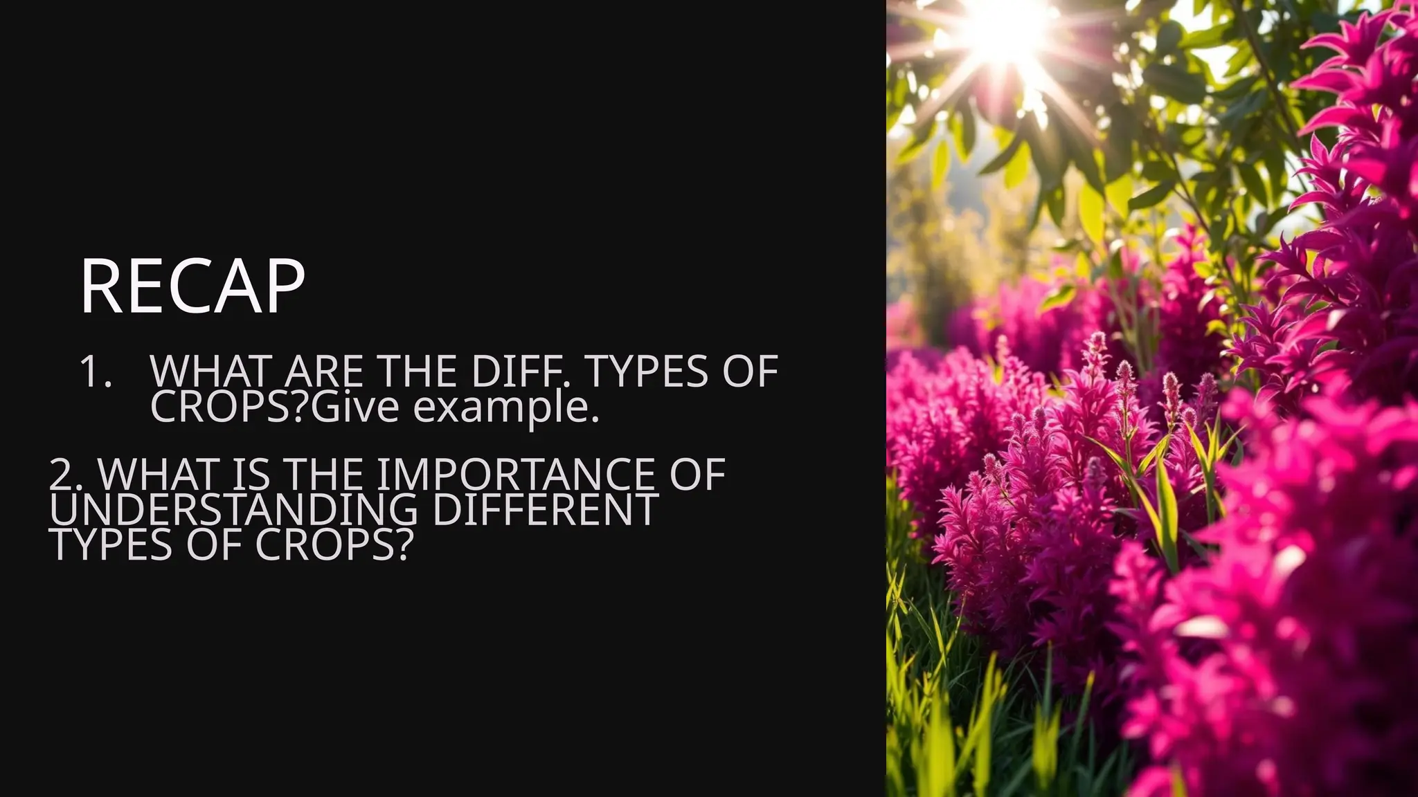 TYPES OF CROPS IN AGRICULTURES EXPLORATORY-GRADE 7 | PPTX