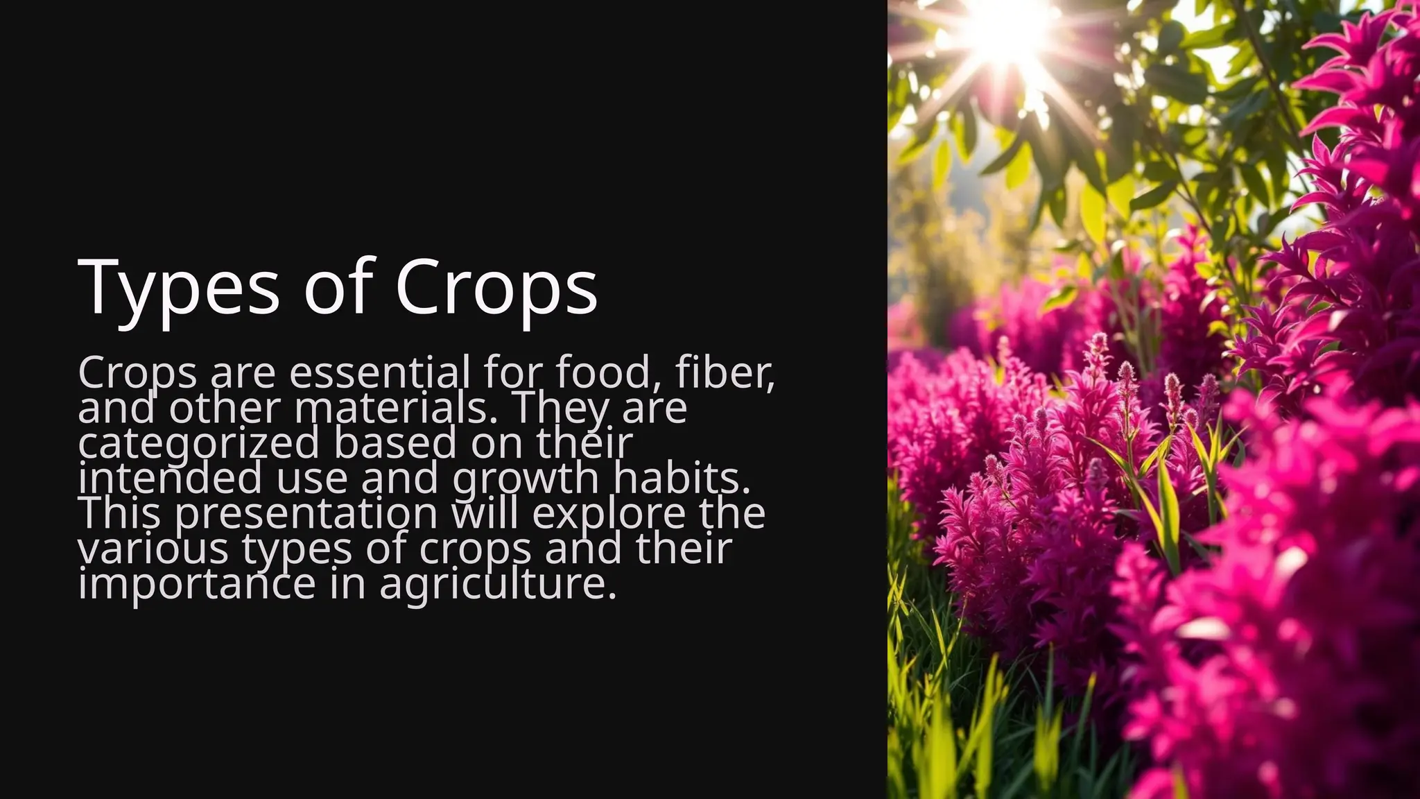 TYPES OF CROPS IN AGRICULTURES EXPLORATORY-GRADE 7 | PPTX