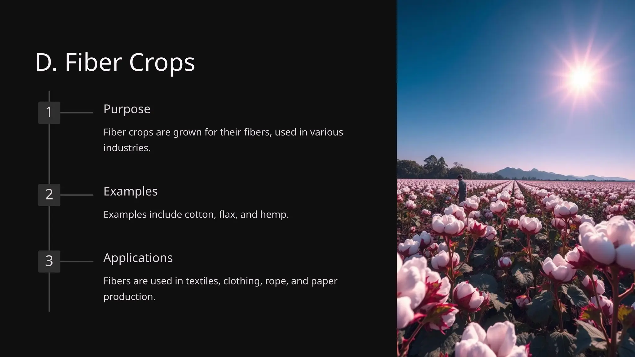 TYPES OF CROPS IN AGRICULTURES EXPLORATORY-GRADE 7 | PPTX