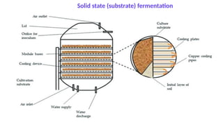 Types of Fermentation Solid State Fermentation | PPTX