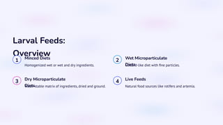 Types-of-Fish-Feed fir fish tech and aquaricylture | PDF