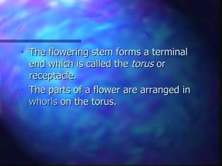 Types Of Flower | PPT