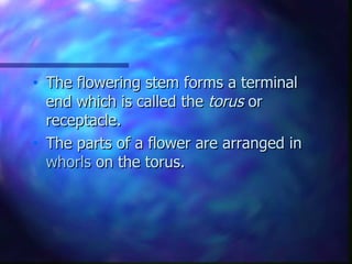 Types Of Flower | PPT