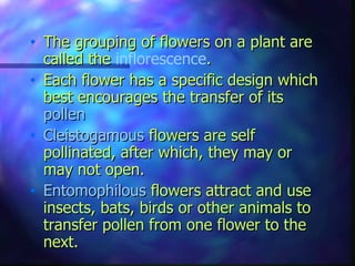Types Of Flower | PPT