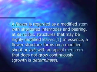 Types Of Flower | PPT