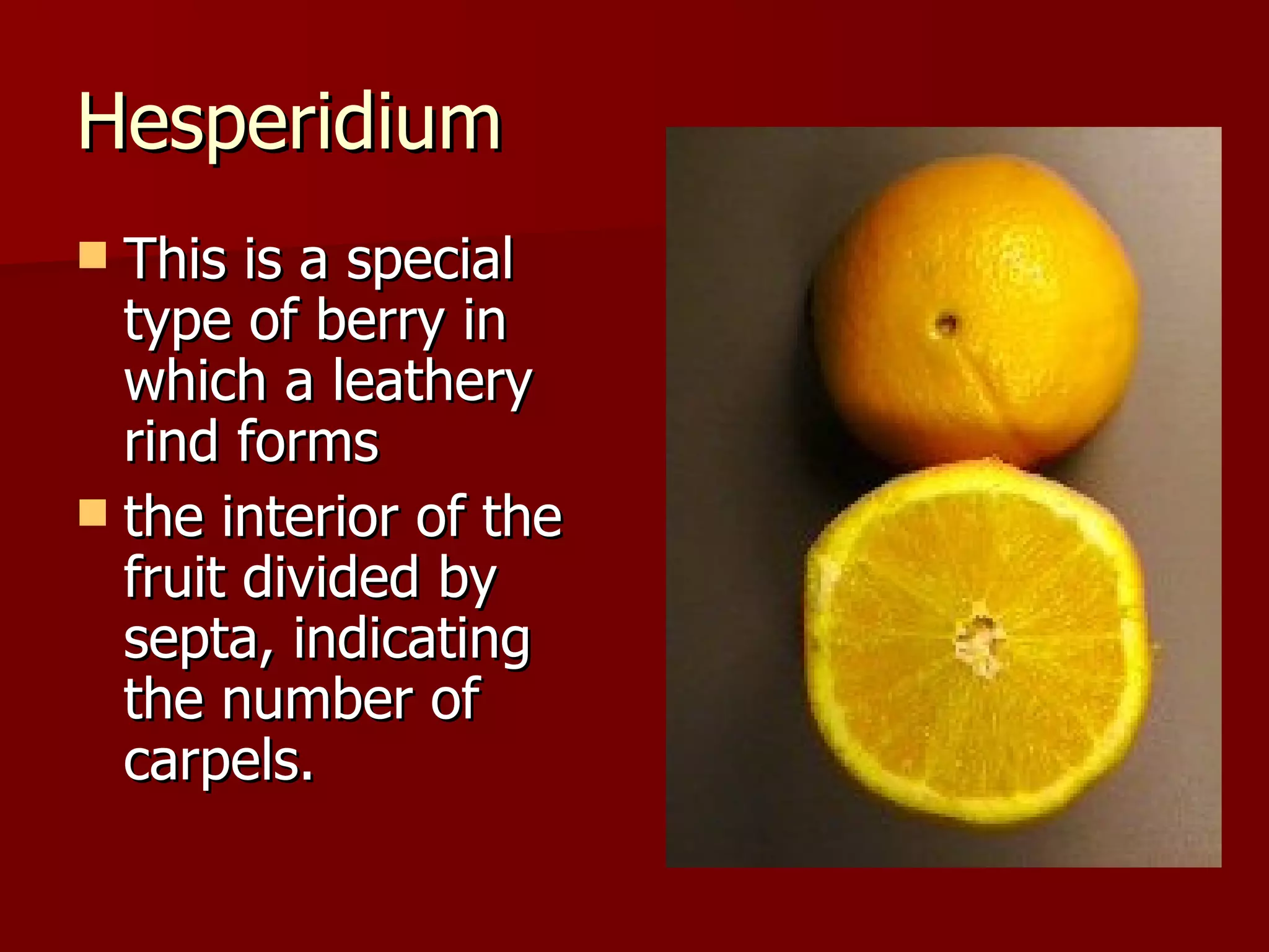 Types Of Fruits | PPT