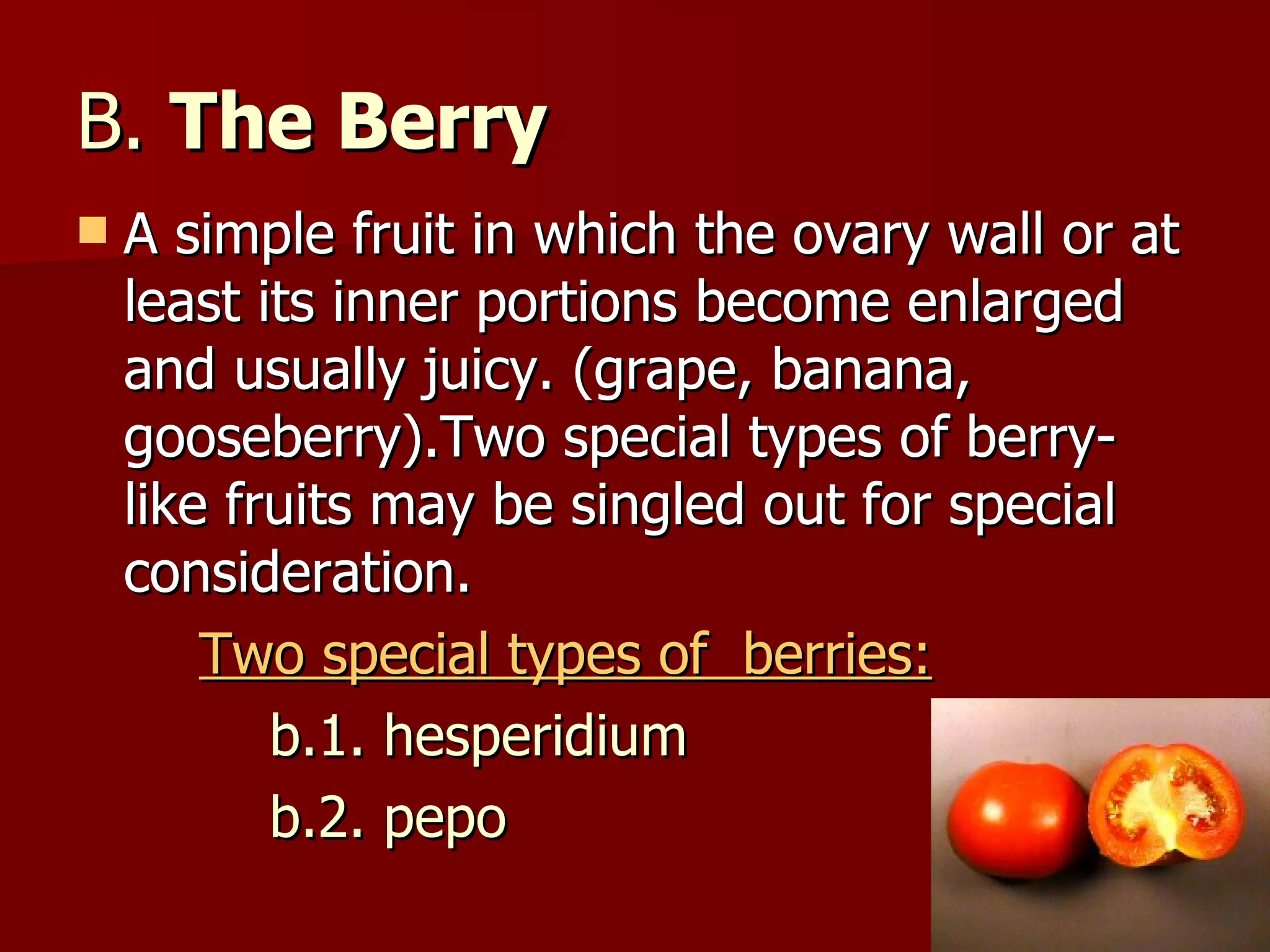 Types Of Fruits | PPT