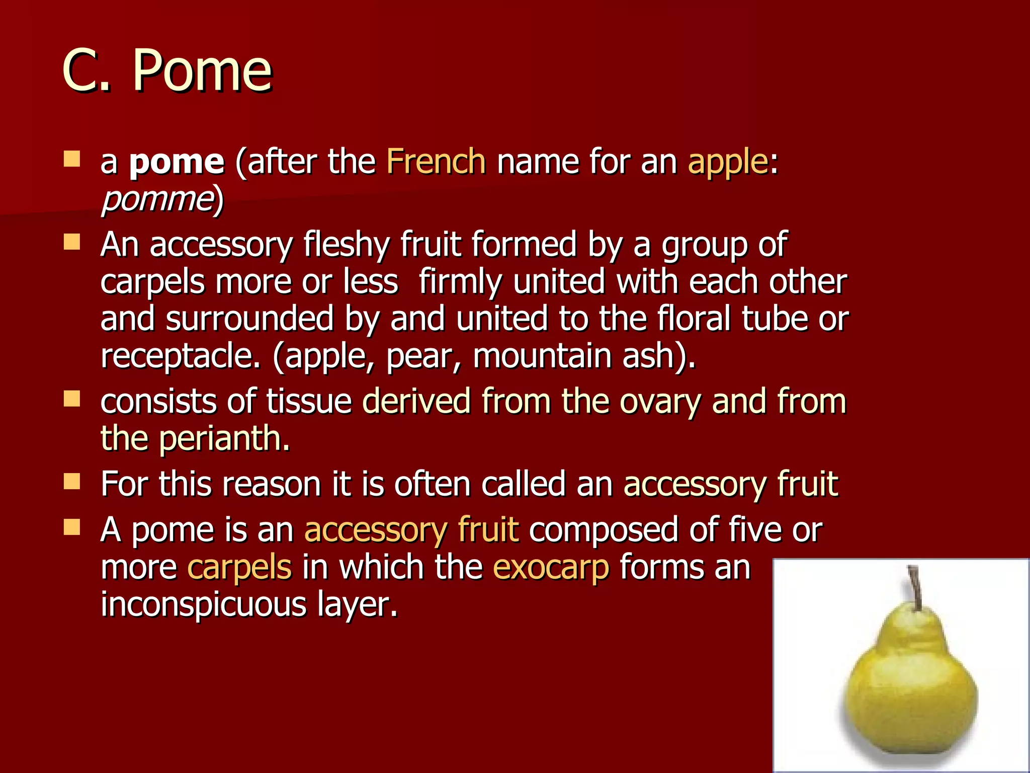 Types Of Fruits | PPT